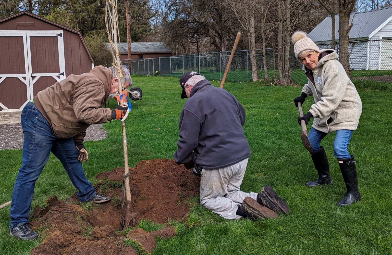 Tree giveaway – Green Springville